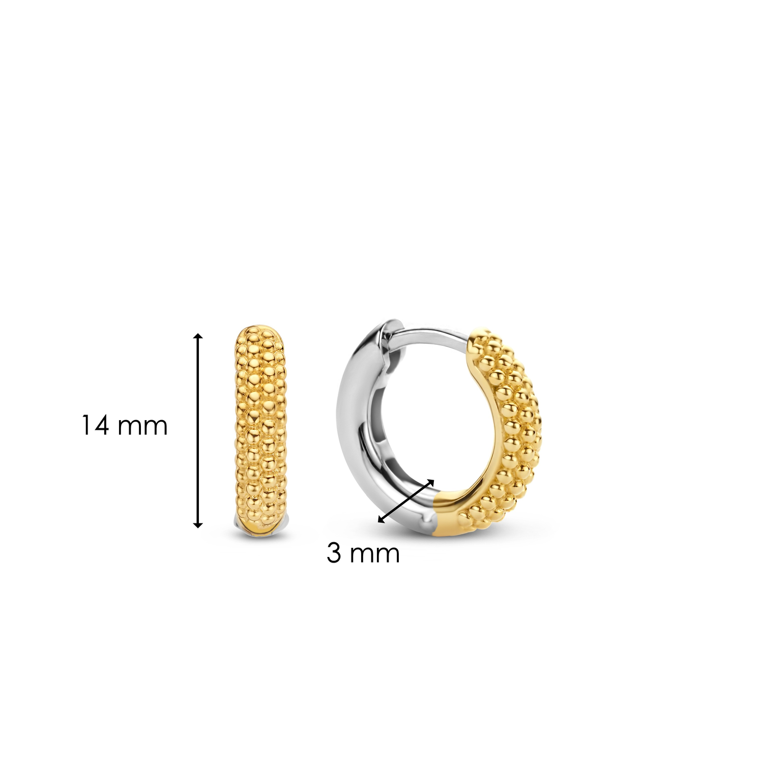 TI SENTO - Milano Earrings 7894SY
